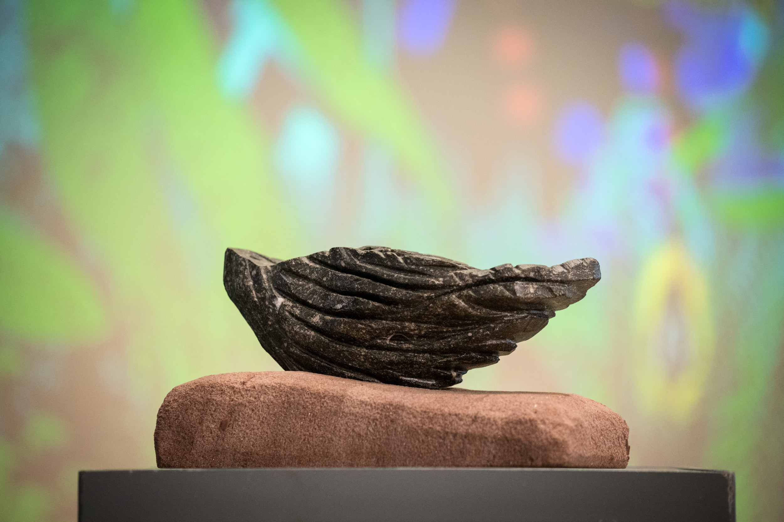 Verschlossene Auster 2021 geht an die Hohenzollern - Netzwerk Recherche ...